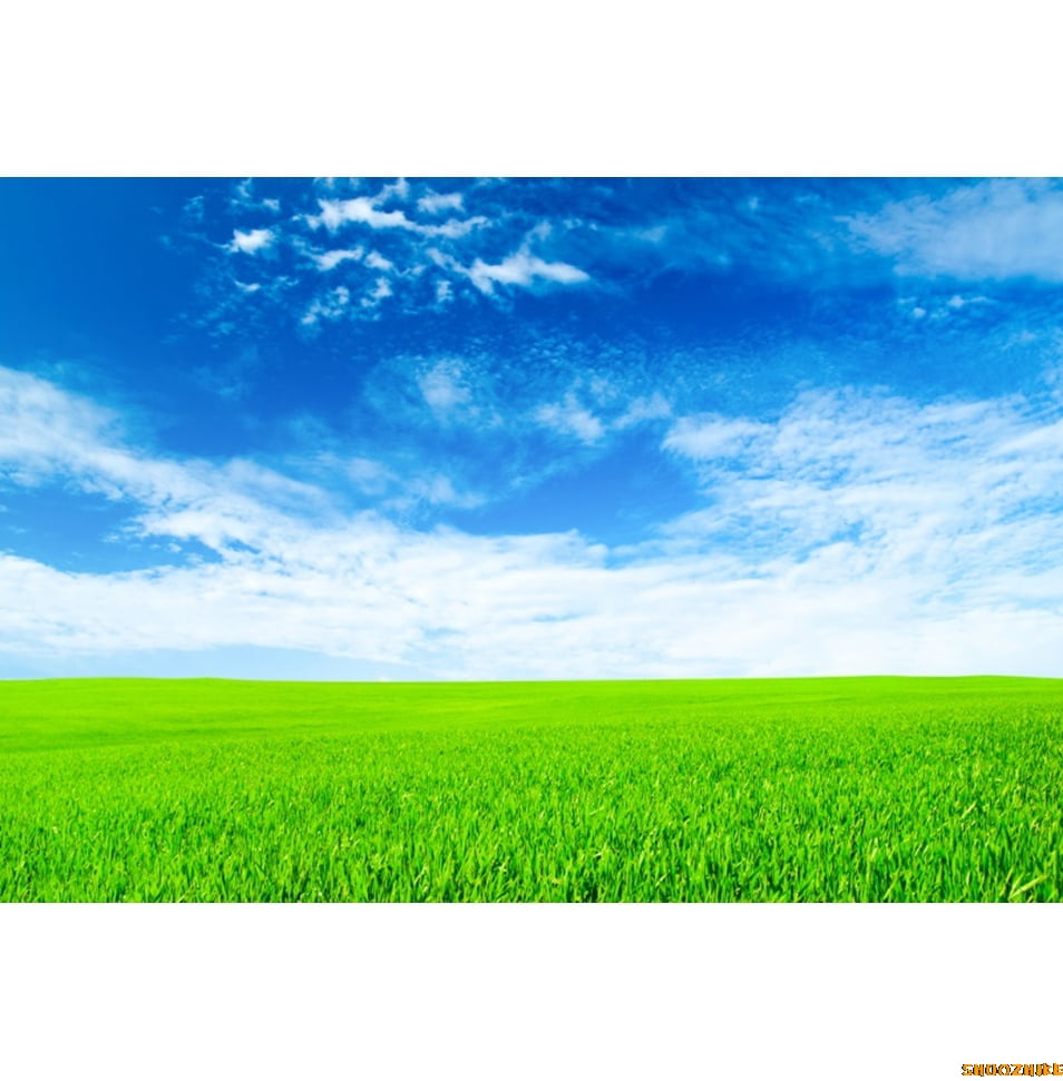 Blue Sky White Cloud Prairie Backdrop Birthday Party Outdoor Travel ...