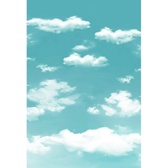 Blue Sky White Clouds Newborn Baby Shower Kids Children Portrait Party ...
