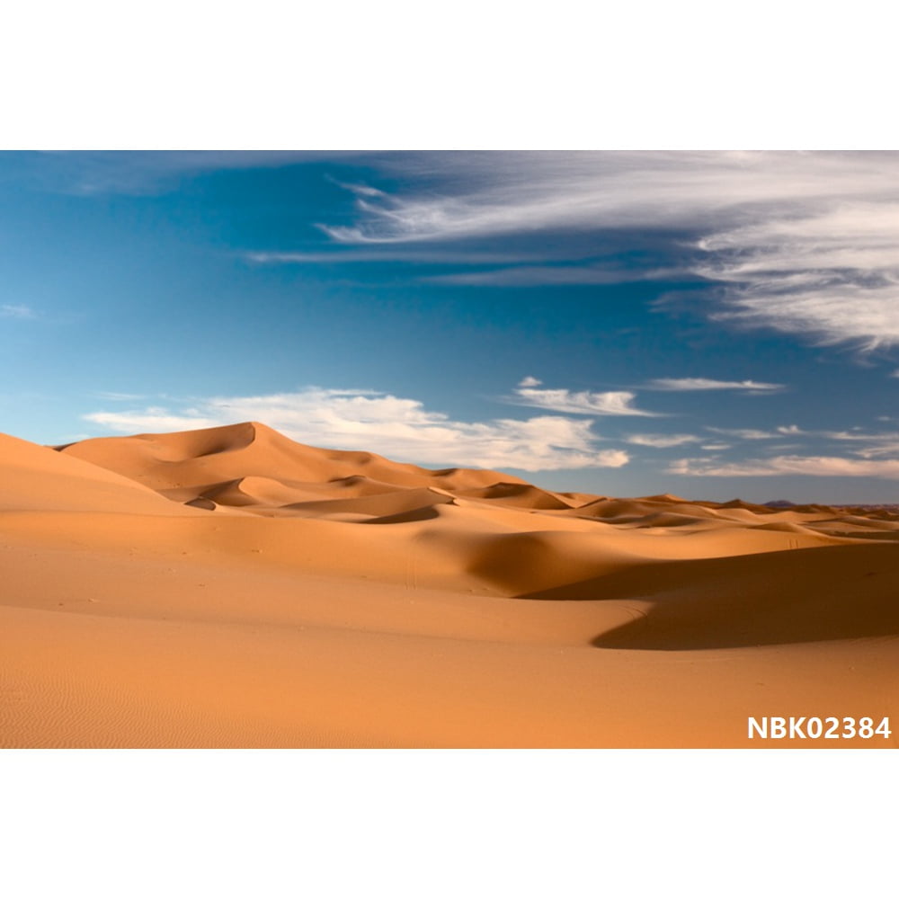 Blue Sky White Clouds Sands Desert Landscape Baby Portrait Photography ...