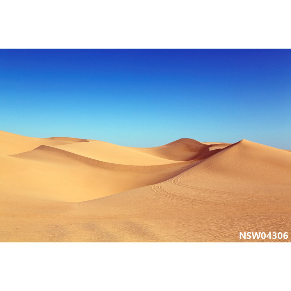 Blue Sky White Clouds Sands Desert Landscape Baby Portrait Photography ...
