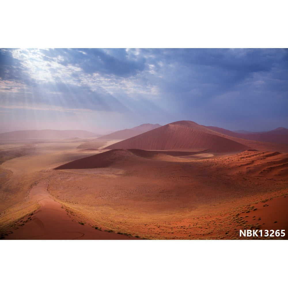 Blue Sky White Clouds Sands Desert Landscape Baby Portrait Photography ...