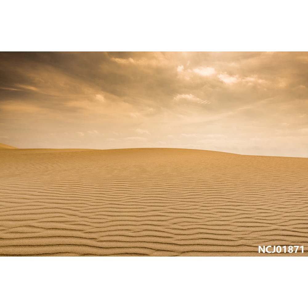 Blue Sky White Clouds Sands Desert Landscape Baby Portrait Photography ...