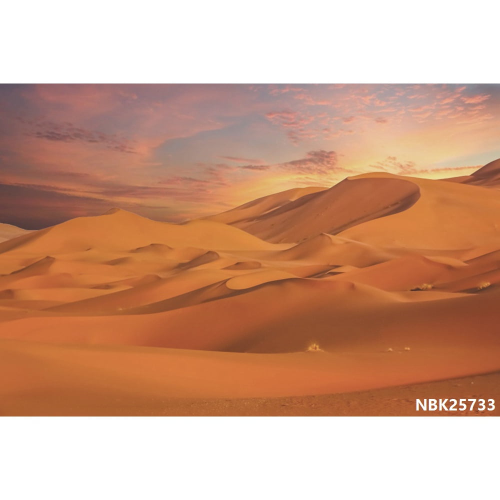 Blue Sky White Clouds Sands Desert Landscape Baby Portrait Photography ...