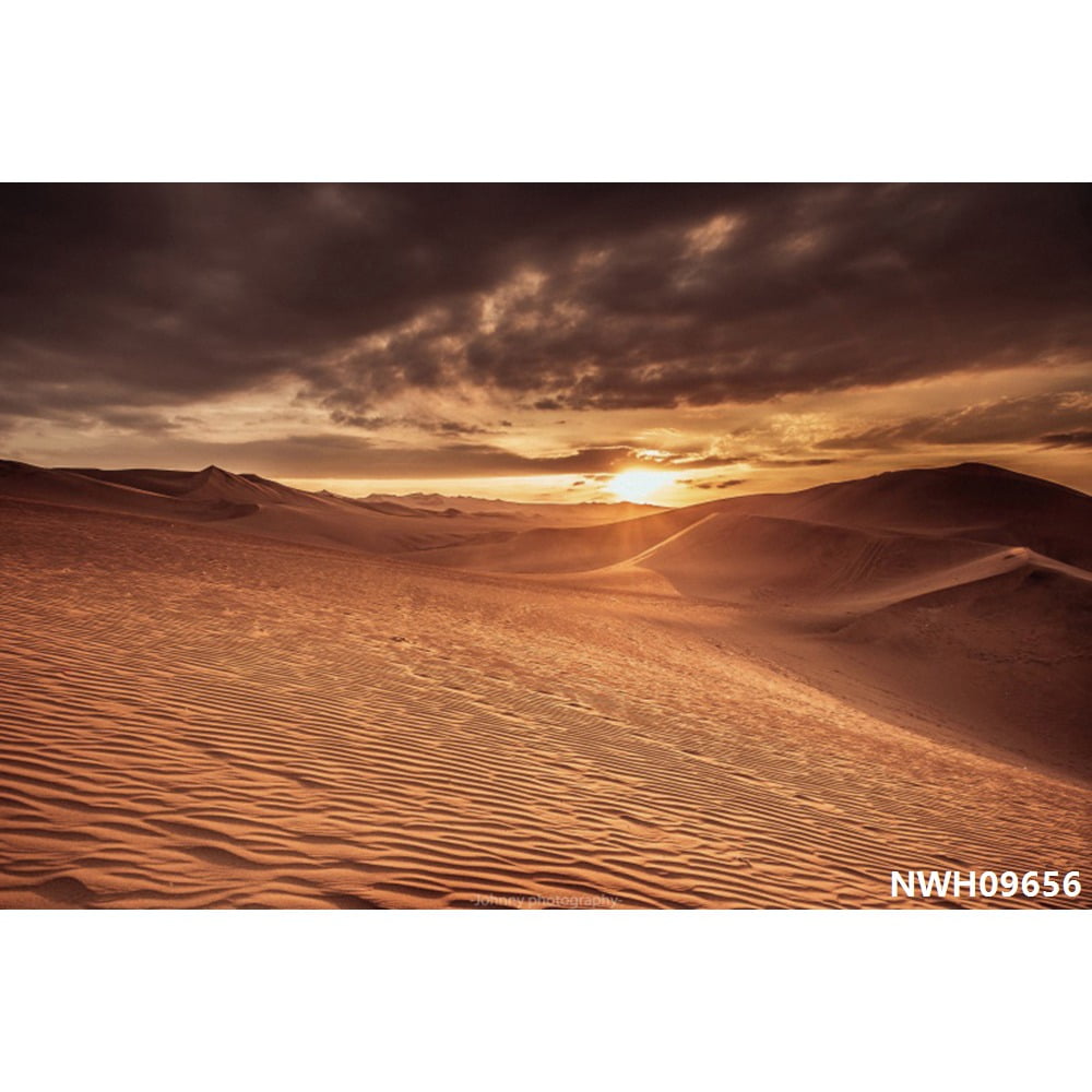 Blue Sky White Clouds Sands Desert Landscape Baby Portrait Photography ...