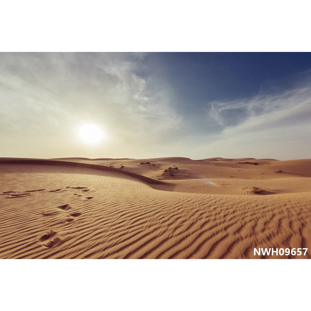 Blue Sky White Clouds Sands Desert Landscape Baby Portrait Photography ...