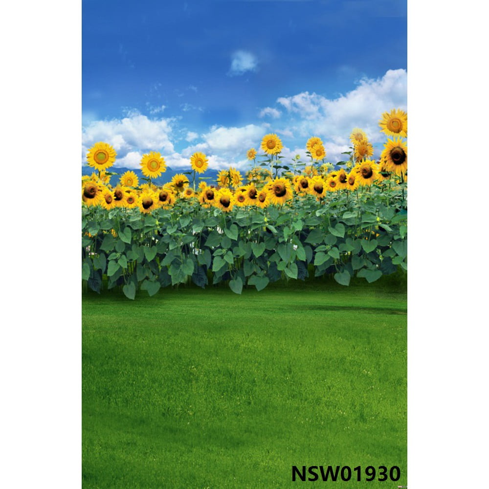Blue Sky White Clouds Sunflowers Green Grassland Photography ...