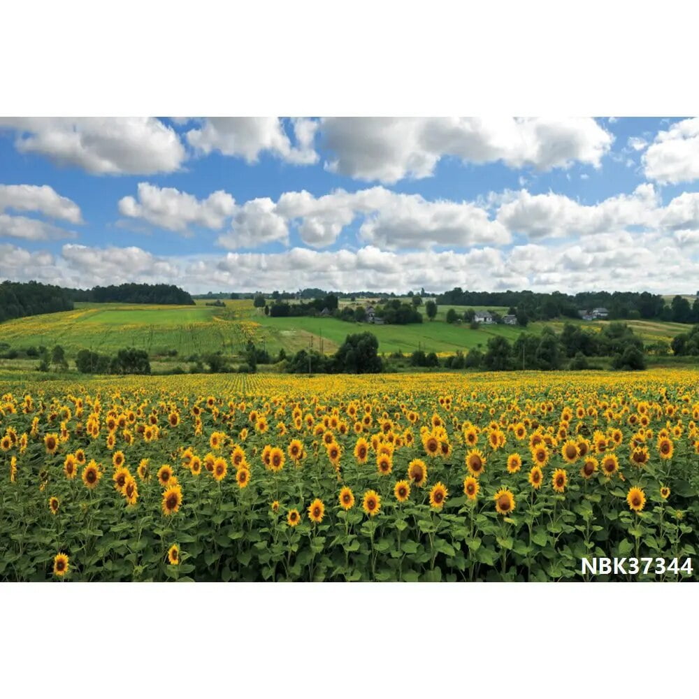 Blue Sky White Clouds Sunflowers Photography Backdrops Baby Birthday ...