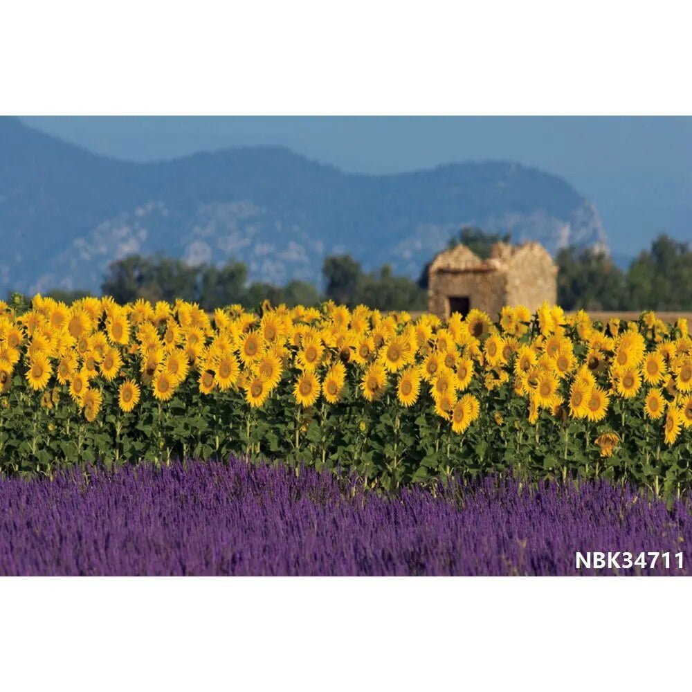 Blue Sky White Clouds Sunflowers Photography Backdrops Baby Birthday ...