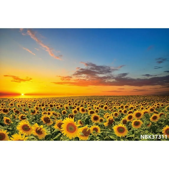 Blue Sky White Clouds Sunflowers Photography Backdrops Baby Birthday ...