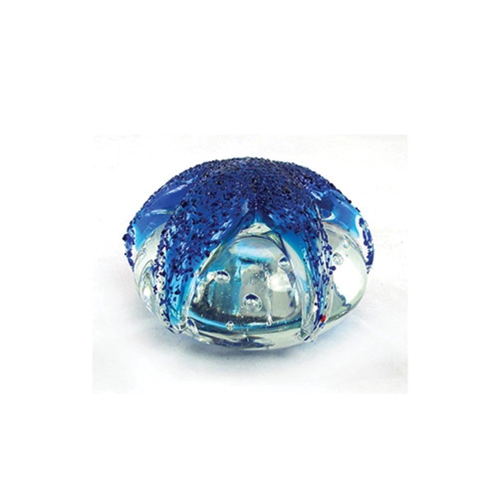 Blue Spotted Starfish on Rock Paperweight 4 Inch - Walmart.com