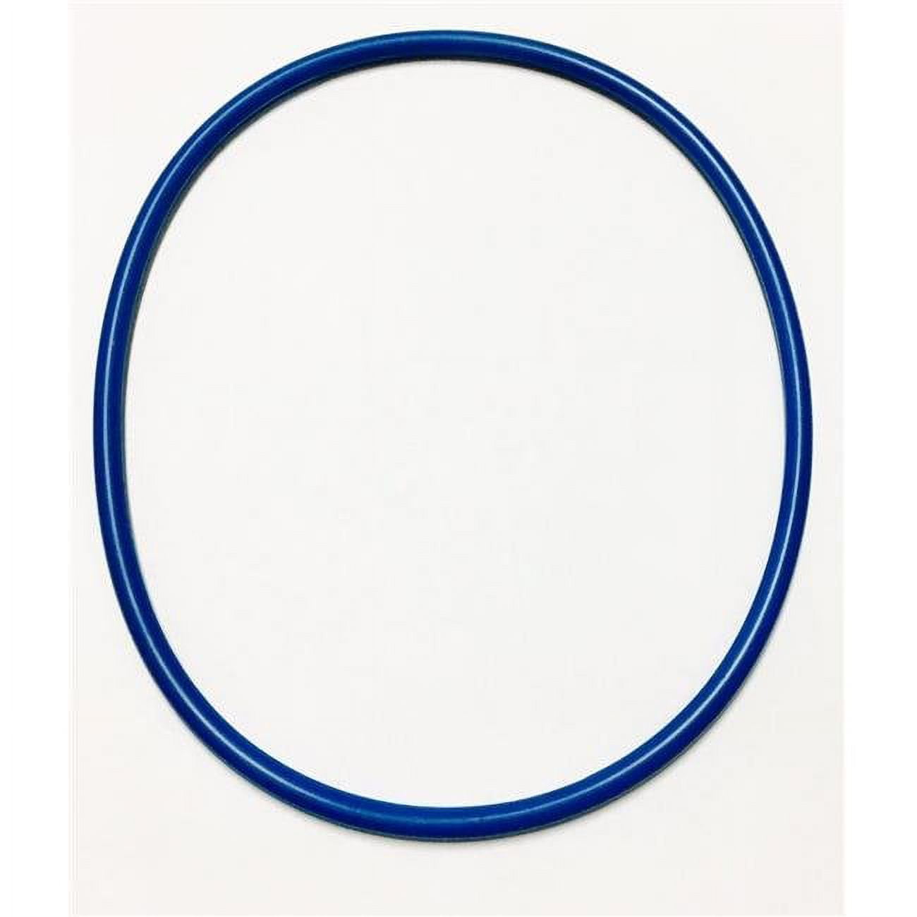 Blue Square 502004 Abyss Debris Canister Oring - Walmart.com