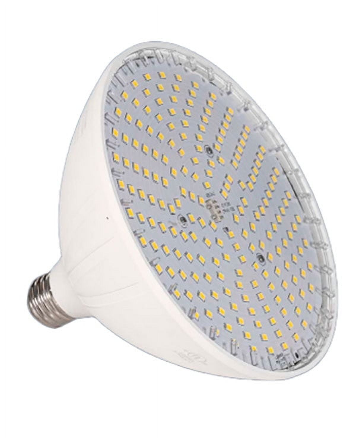 Blue Square Vivid 360™ White LED Replacement Spa Bulb 20W 120V ...