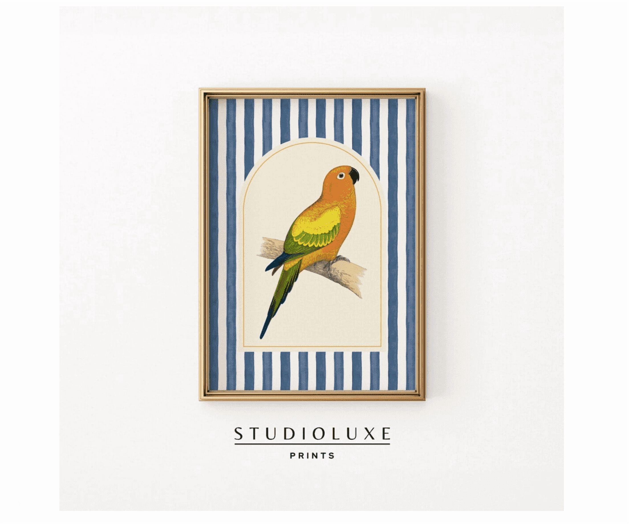 Blue Stripe Parrot Art Print Tropical Bird Grandmillennial Jungle ...