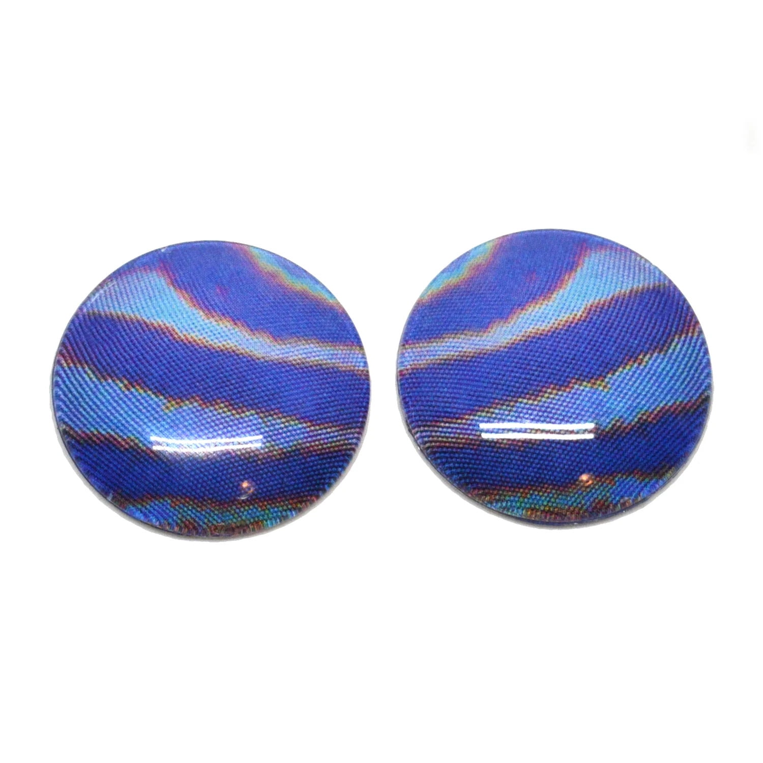 Blue Striped Horsefly Insect Bug Compound Glass Eyes - Walmart.com