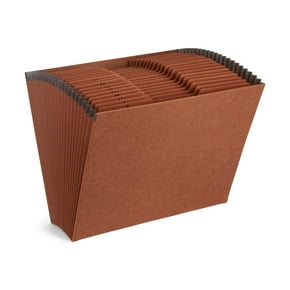 Alphabetical File Organizer