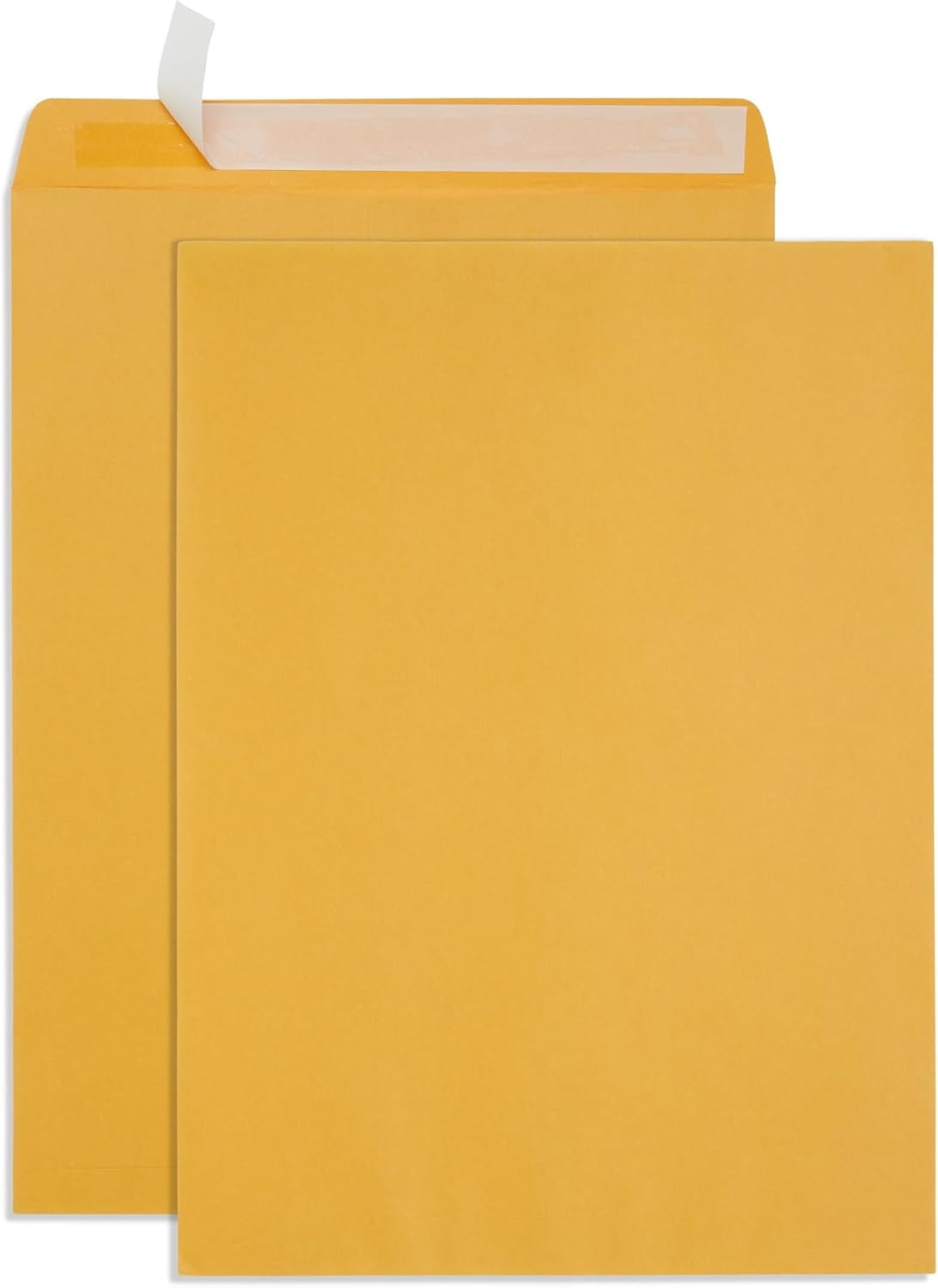 Blue Summit Large Mailing Envelopes 13x18, Large Envelopes 13x18 for ...