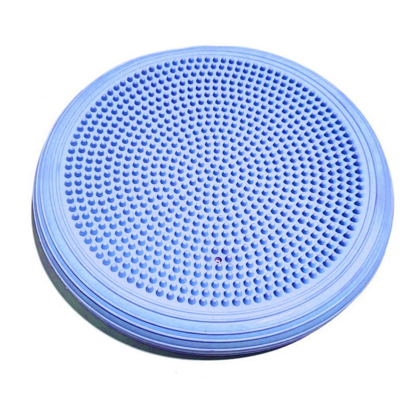 Blue Swing Balance Pad for Core Fitness Stability Rehabilitation Seat ...