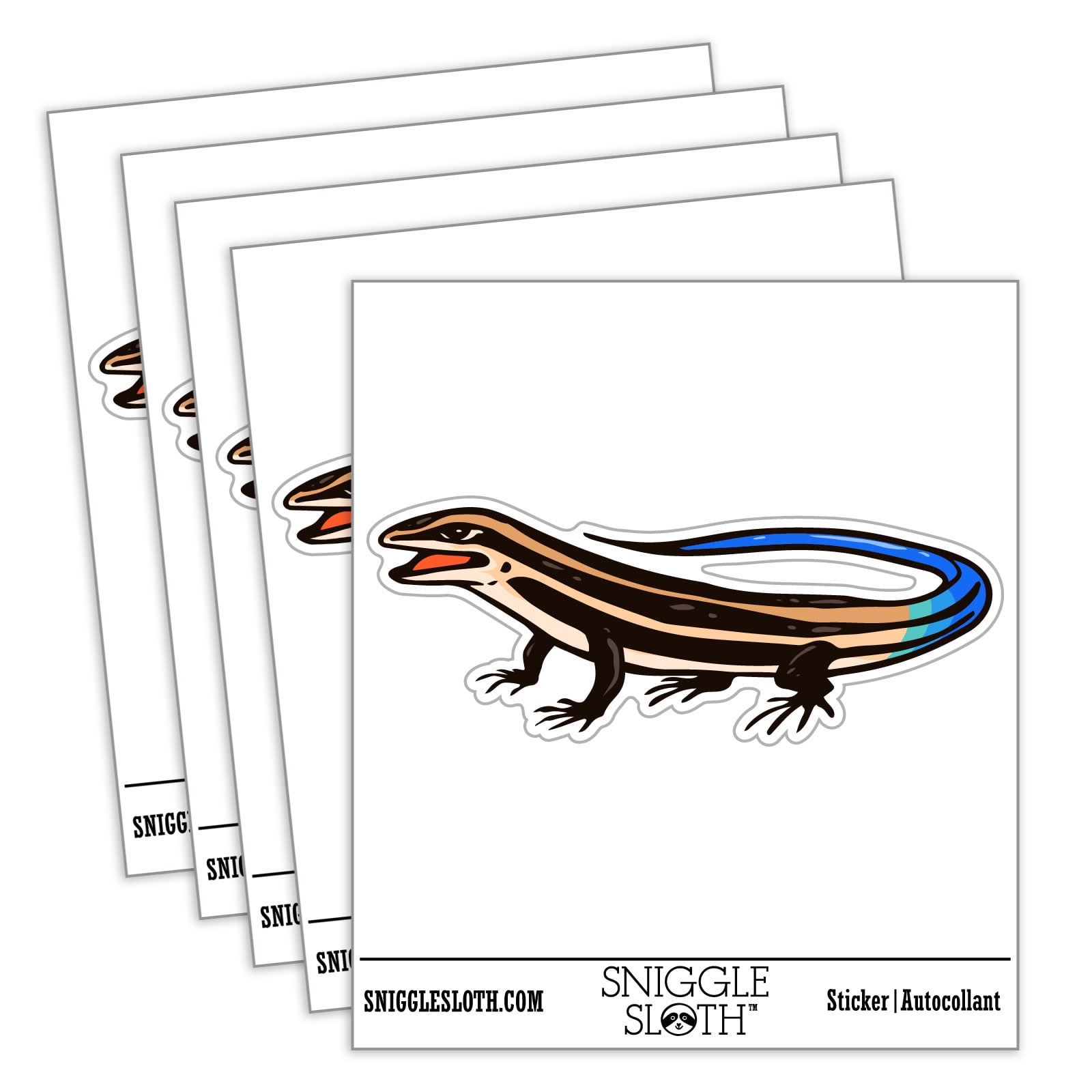 Blue Tailed Skink Lizard Five Lined Car Window Bumper Water Bottle ...
