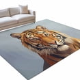 Blue Tiger Washable Rug 4x6 Area Rug for Living Room Bedroom Non Slip ...