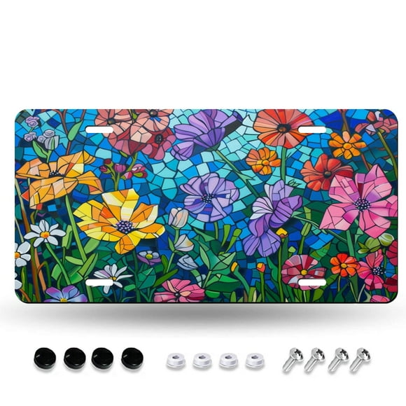 Tint License Plate Cover