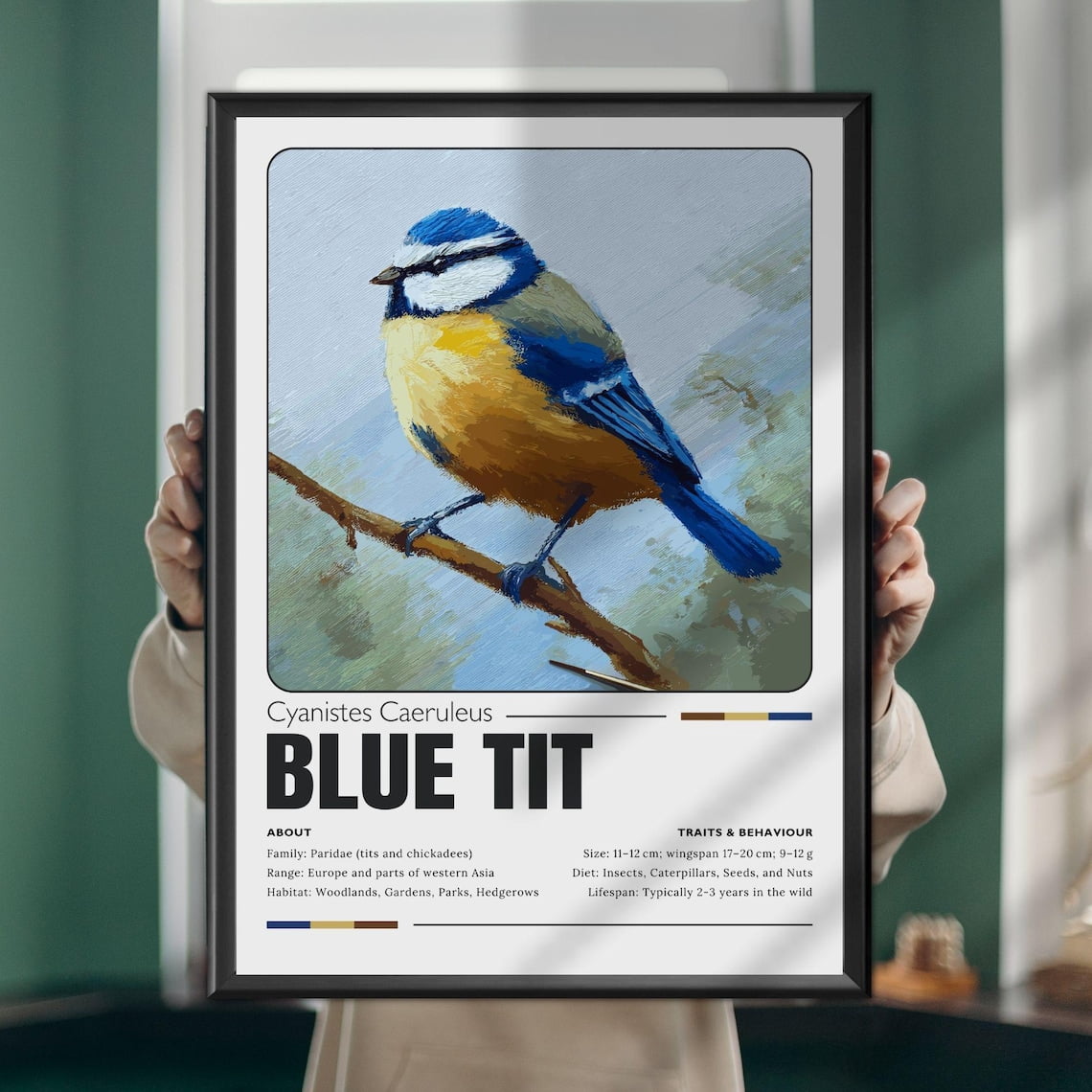 Blue Tit Poster, Songbird Art Print, Unframed Paper Poster 16x20in ...