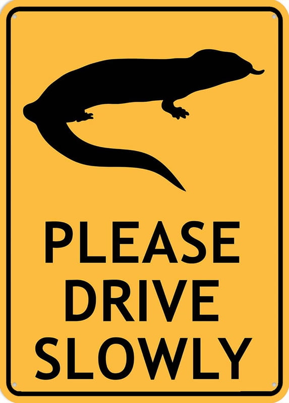 Blue Tongue Lizard Please Drive Slowly Sign Signs Outdoor, Uv Printed ...