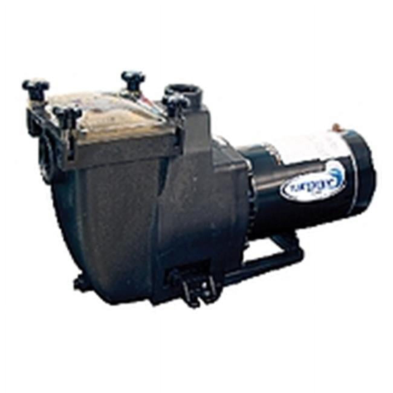 Blue Torrent Pool Products ACIMP1500 1.5 HP Typhoon Inground Pump ...