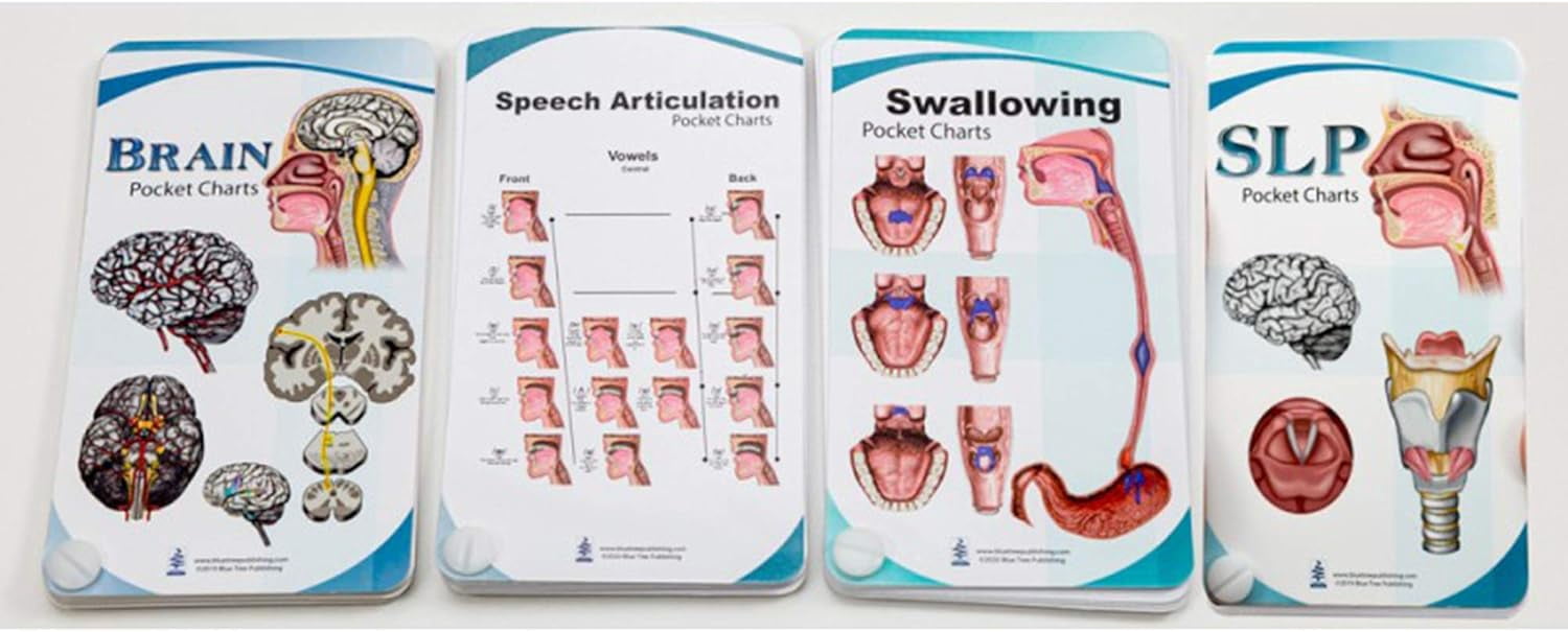 Blue Tree Publishing SLP, Swallowing, Speech Articulation, Brain ...