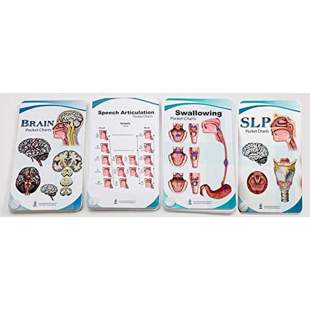 Blue Tree Publishing SLP, Swallowing, Speech Articulation, Brain ...