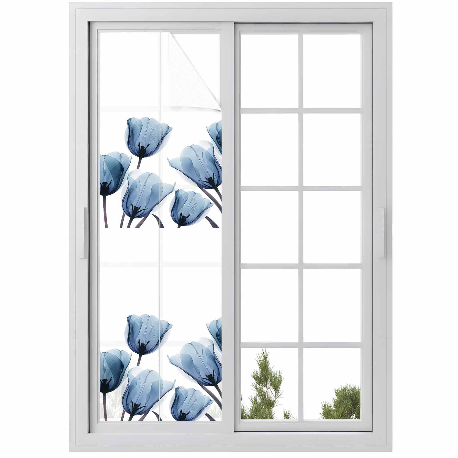 Blue Tulip Window Privacy Film Minimalist Modern Flower Plant Art ...