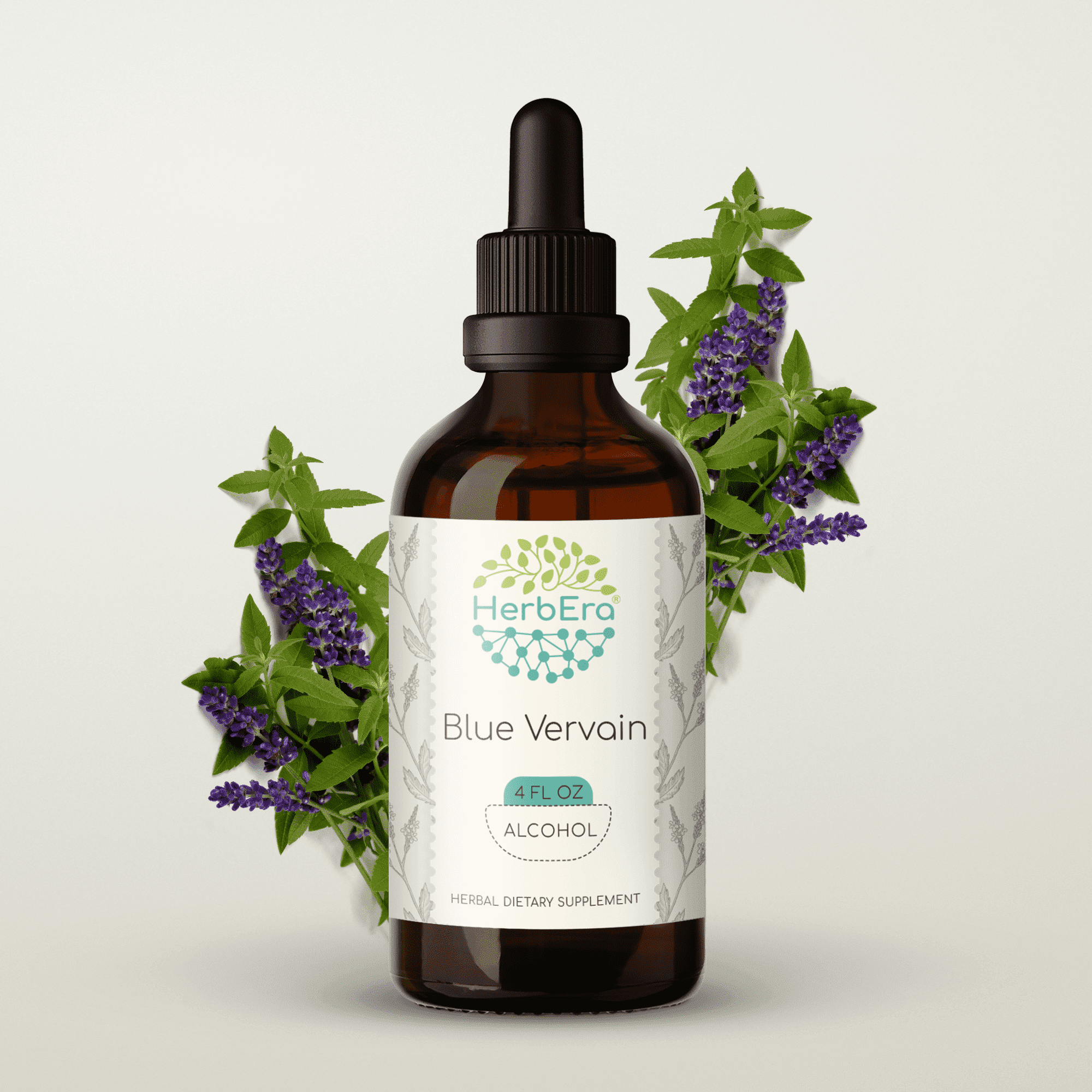 HerbEra Blue Vervain Tincture, Herbal Dietary Supplement for Stress ...