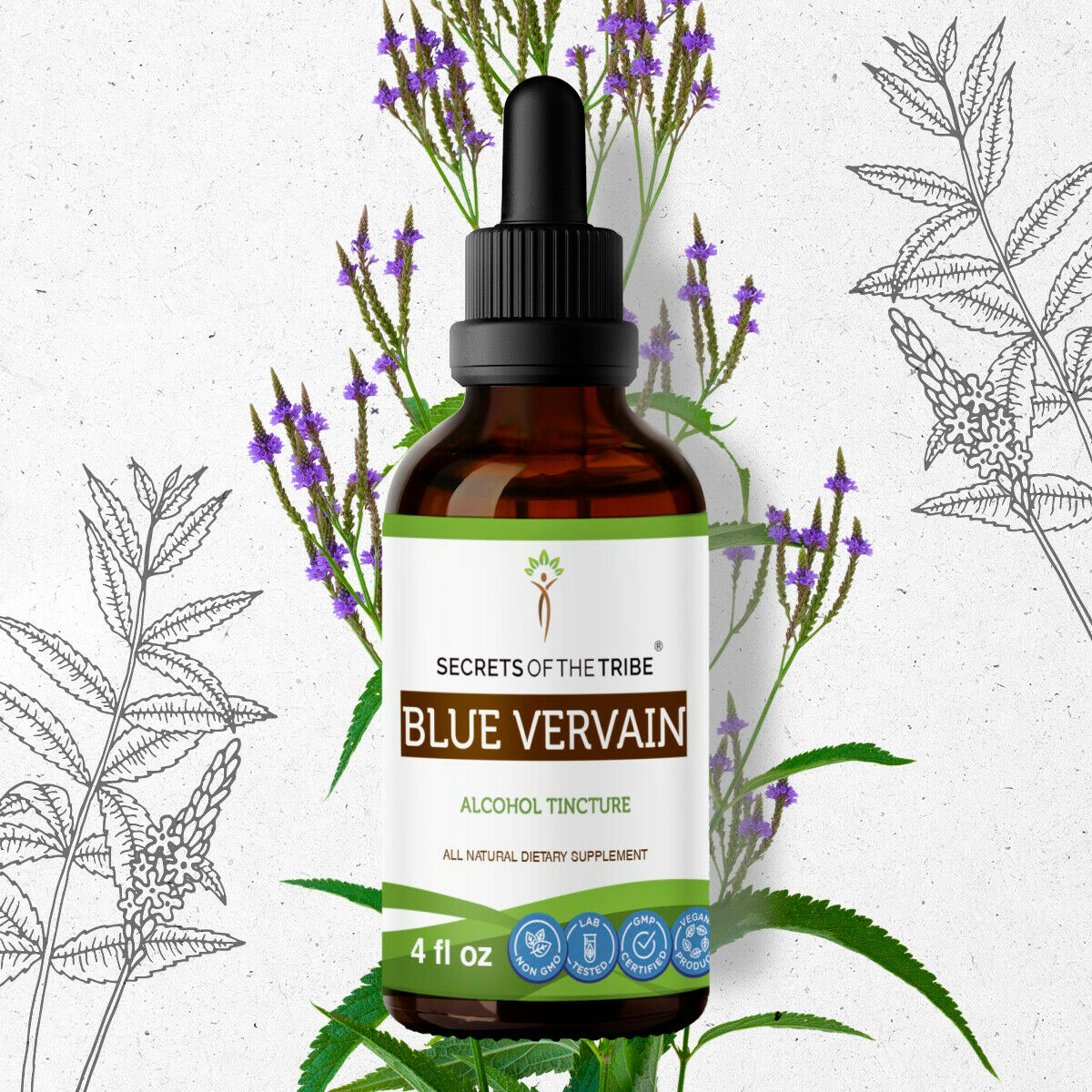 Blue Vervain Tincture Alcohol Extract, Blue Vervain (Verbena Hastata ...