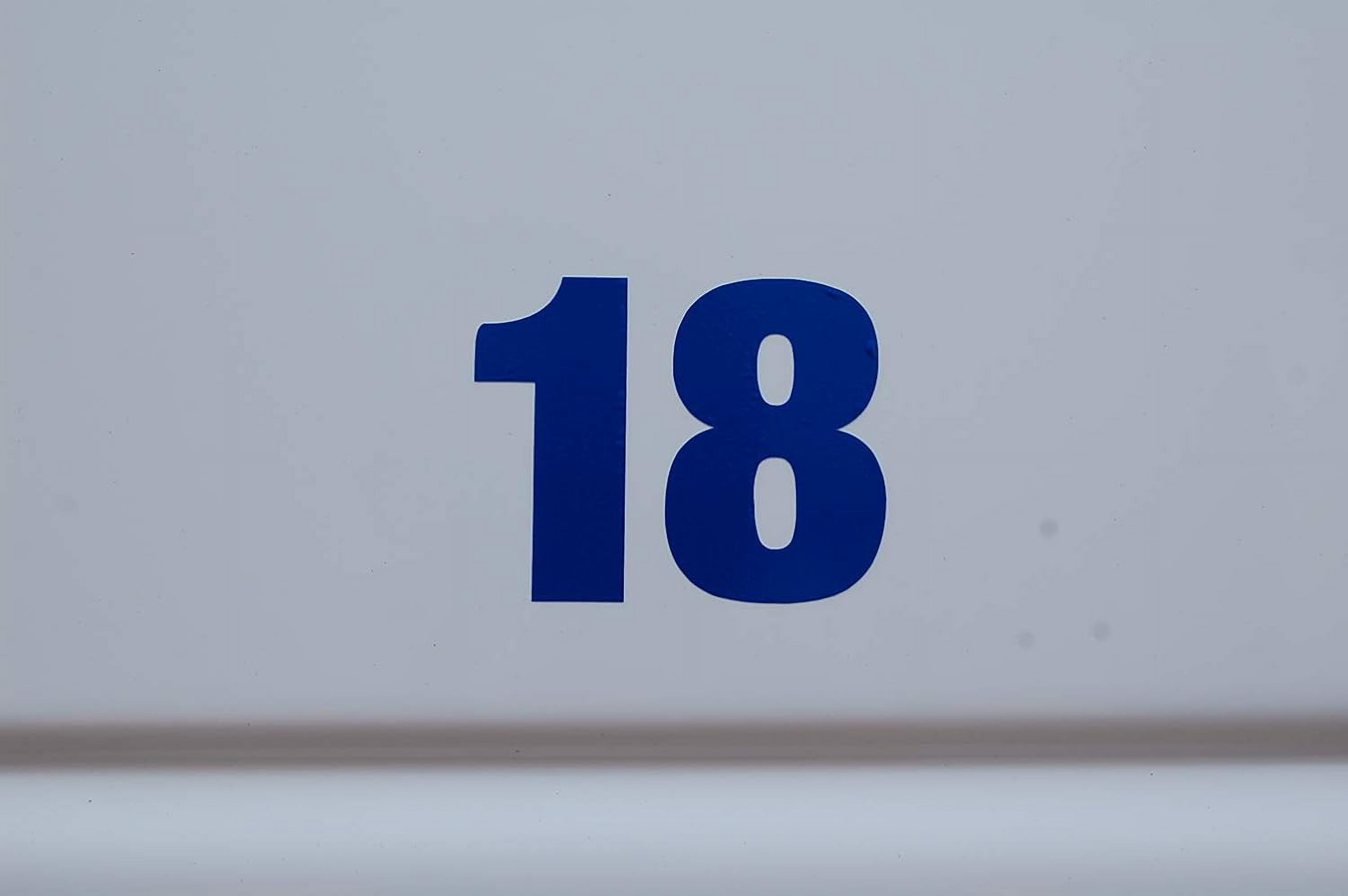Blue Vinyl Number Stickers (4 of Each Number) - Choose Size From 1" to ...