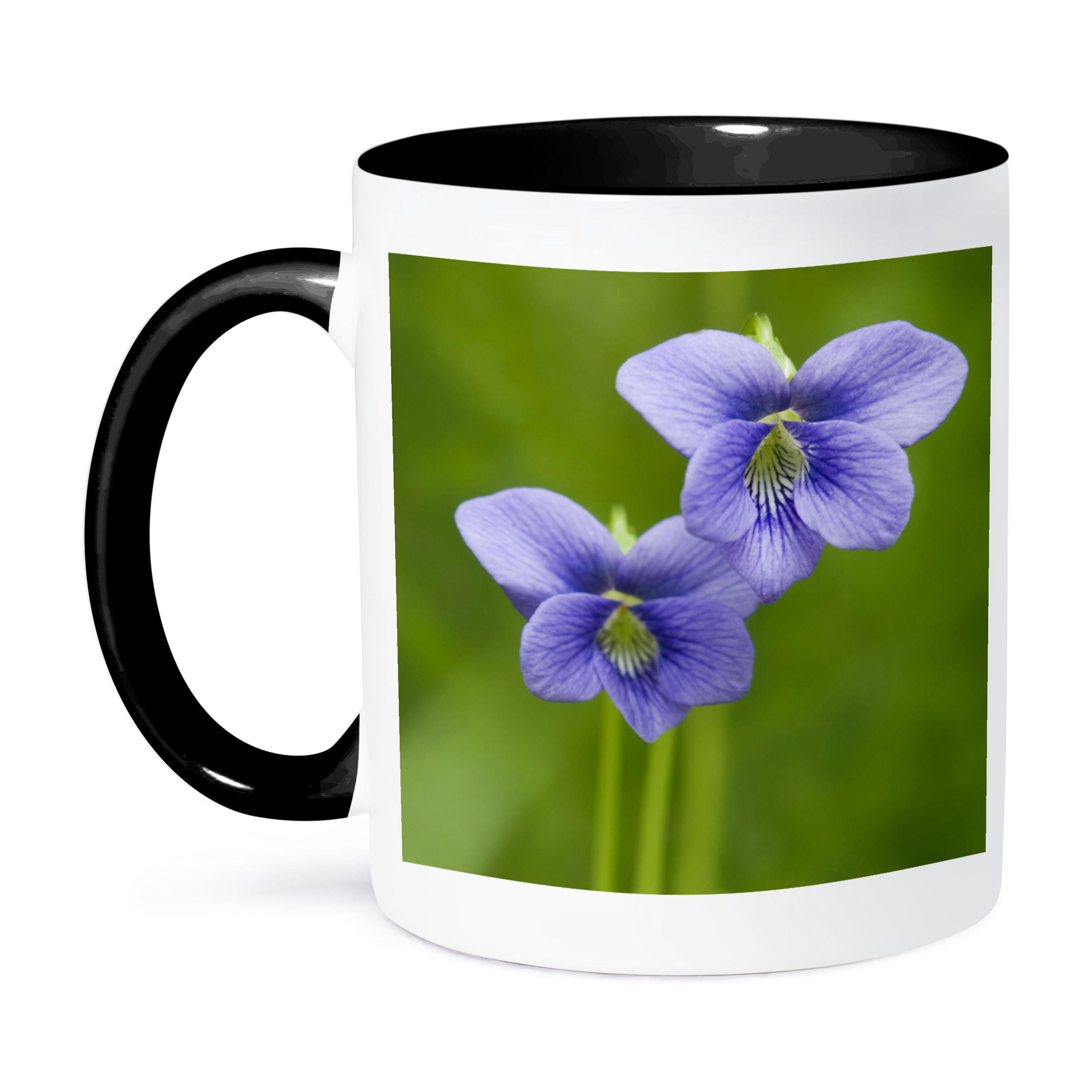Blue Violet Flower, Great Smoky Mountains, Tn - Us43 Rkl0016 - Raymond ...