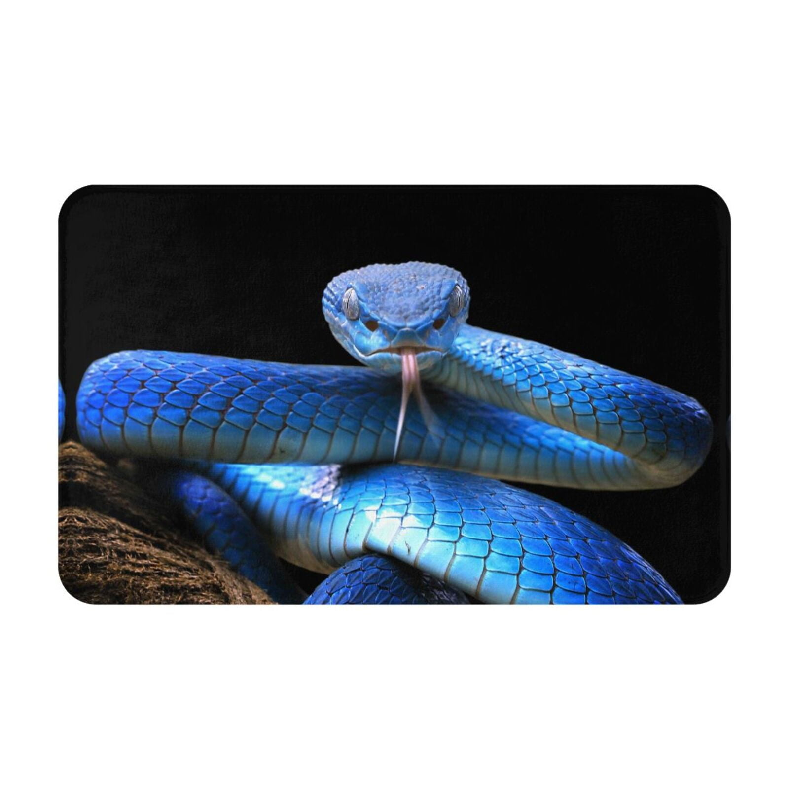 Blue Viper Snake Front Door Mat, Indoor Mats for Bedroom Bathroom ...