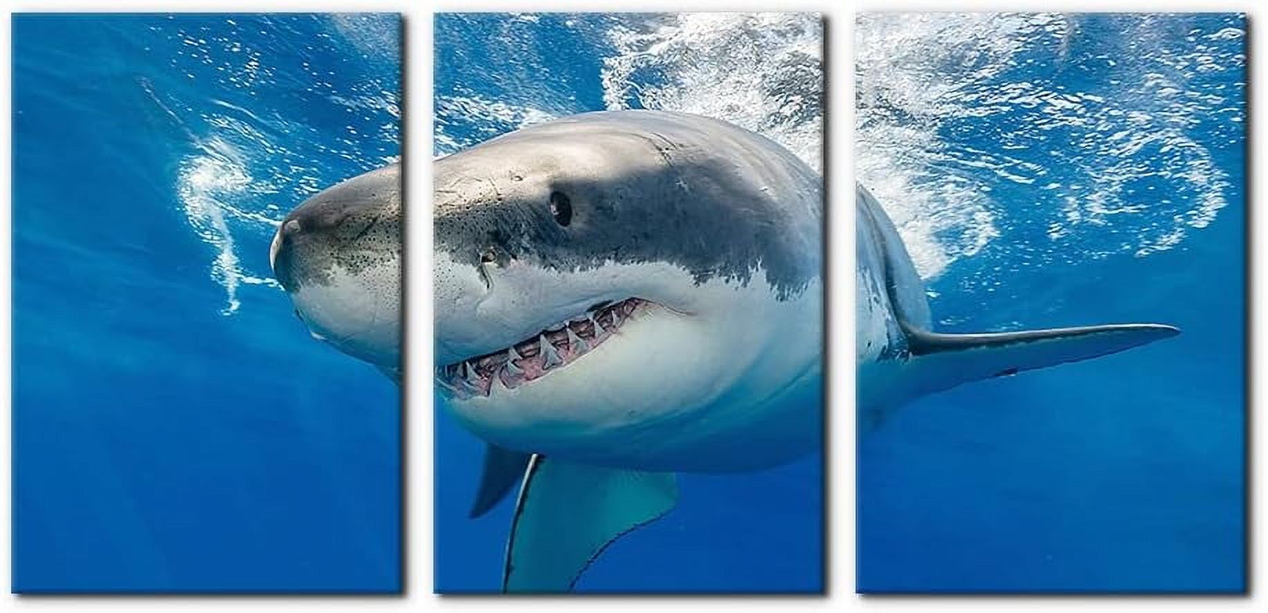 Blue Wall Art Painting Great White Shark Catching Fish At Guadalupe ...