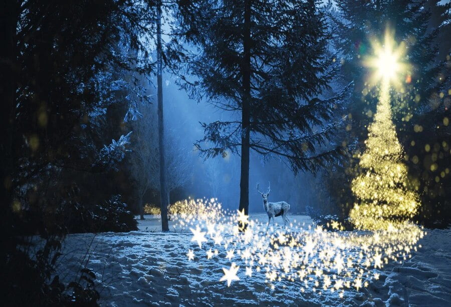Blue Wall Light Bokeh Christmas Tree Photography Backdrops Photo Backgrounds Baby Shower ...