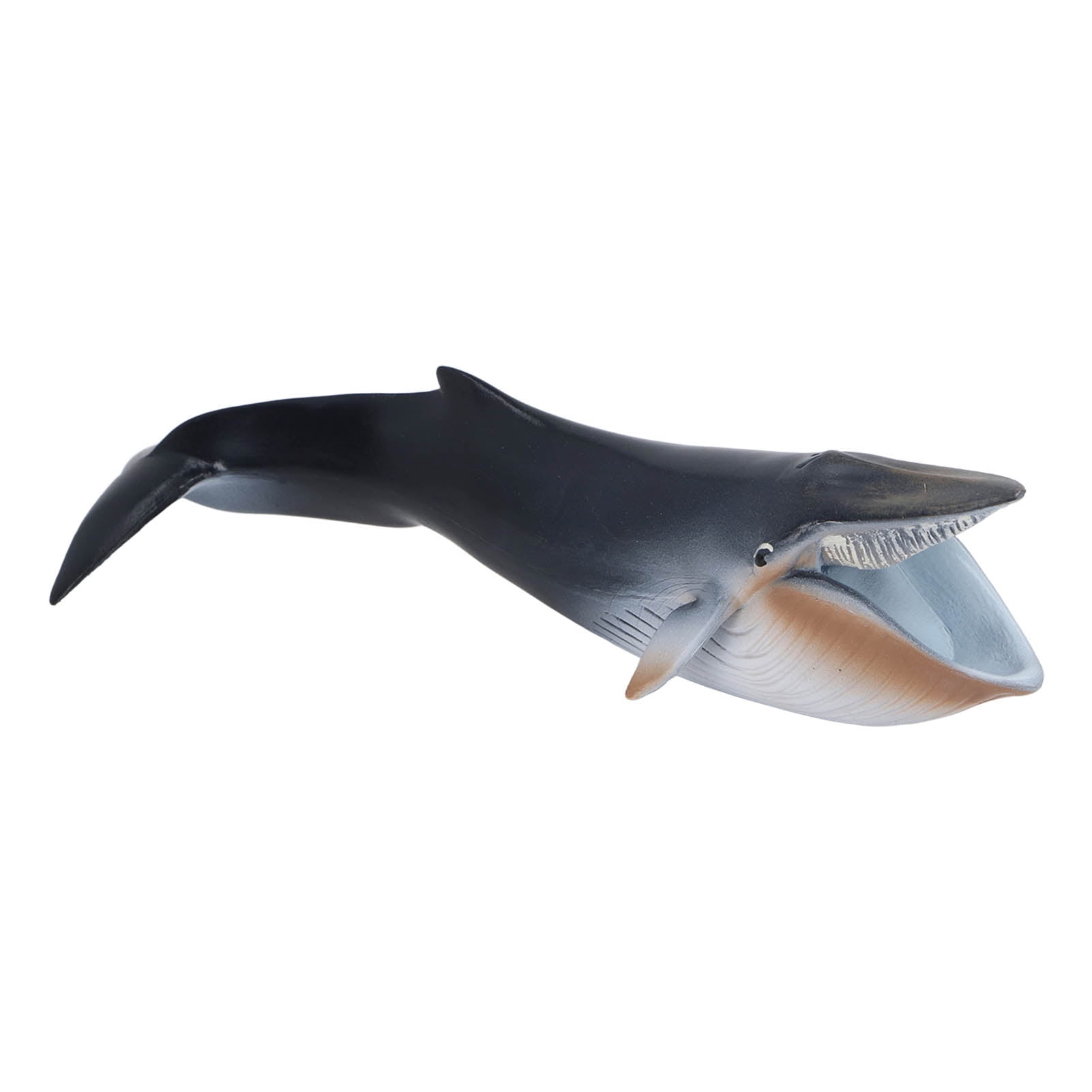 Blue Whale Figure Simulation Innovative Educational Hand Painted Sea ...