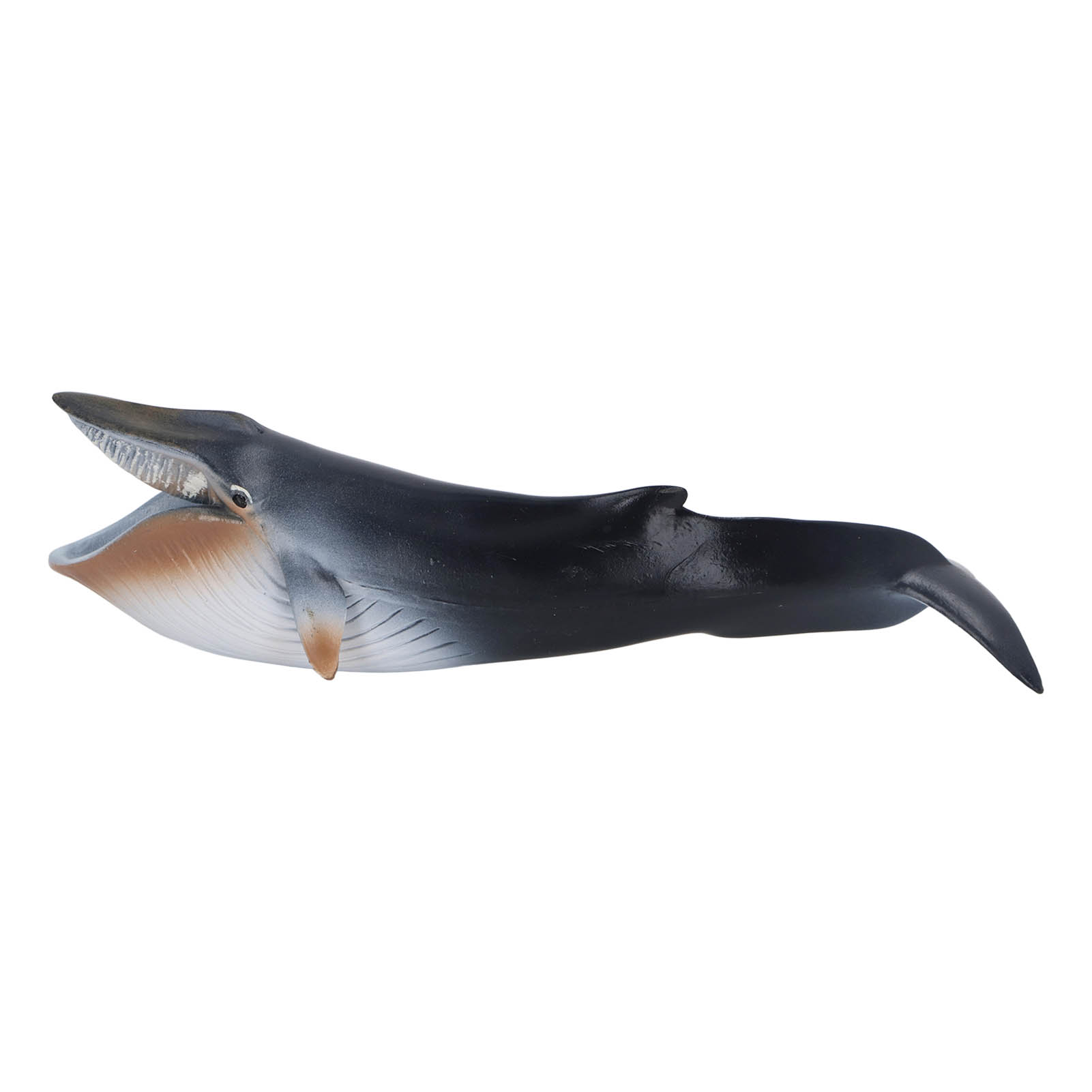 Blue Whale Figure Simulation Innovative Educational Hand Painted Sea ...