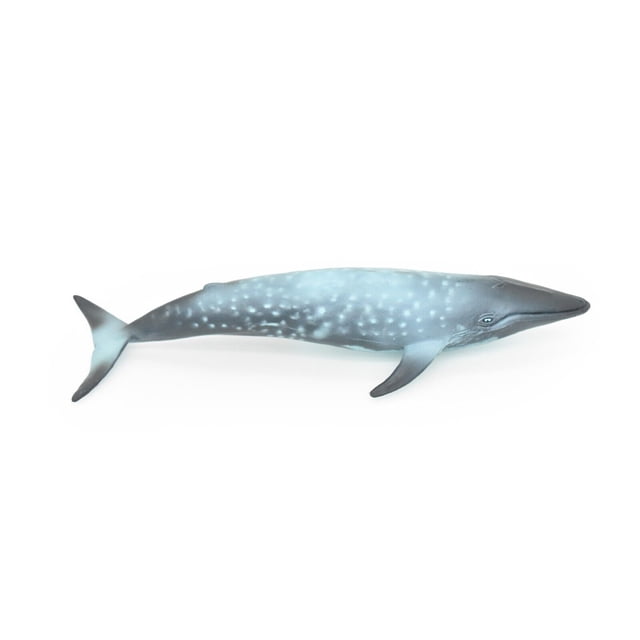 Blue Whale, Marine Mammal, Realistic Rubber Figure, Model, Hand Painted ...