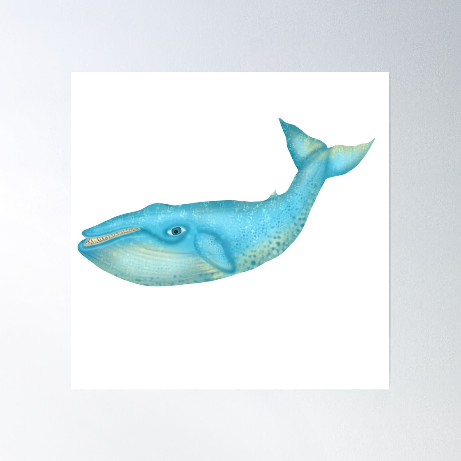 Blue Whale Ocean Cetacean Nautical Sea Life Poster Wall Art, Modern ...