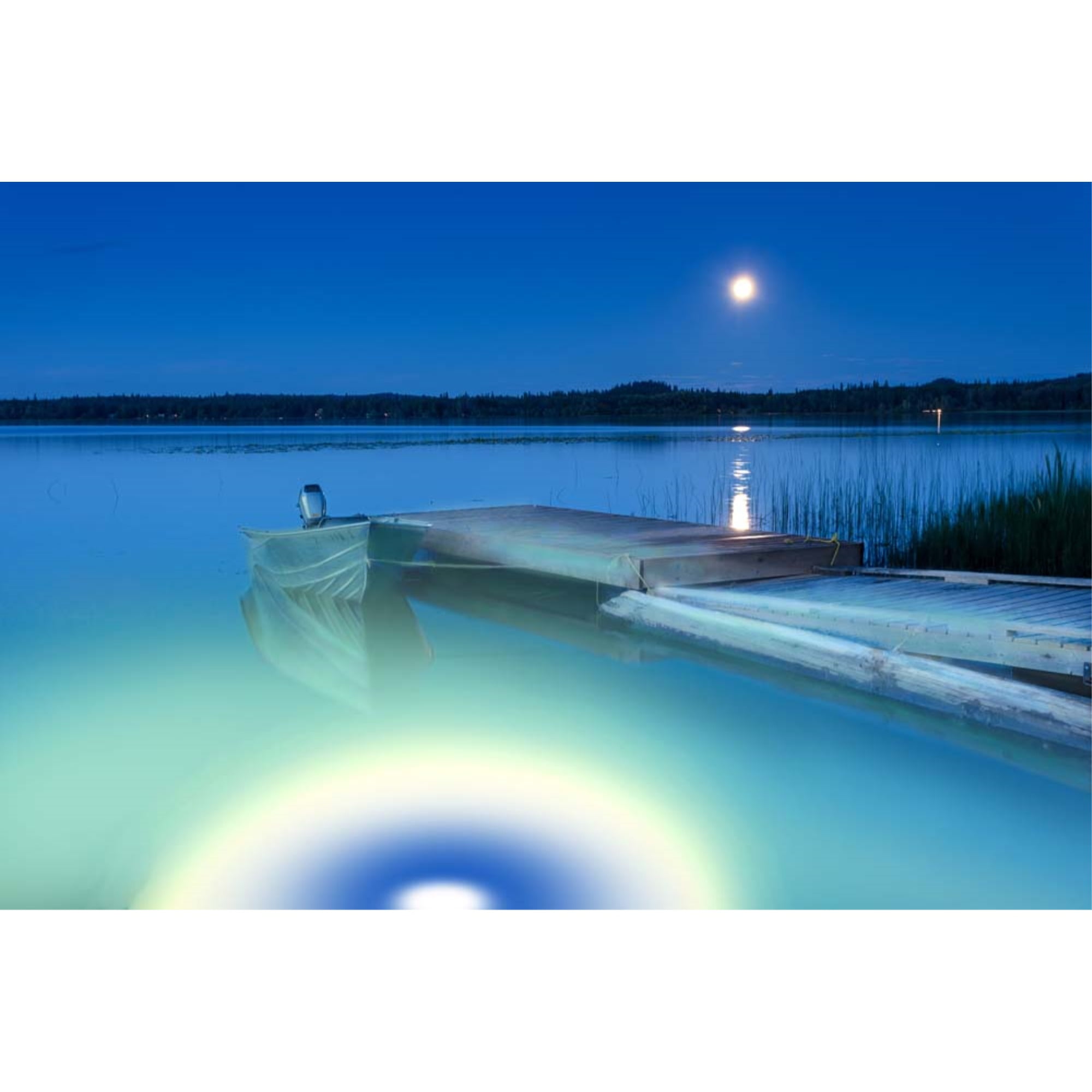 Blue/White Apollo Iris Underwater LED Lighting System (40 foot power ...