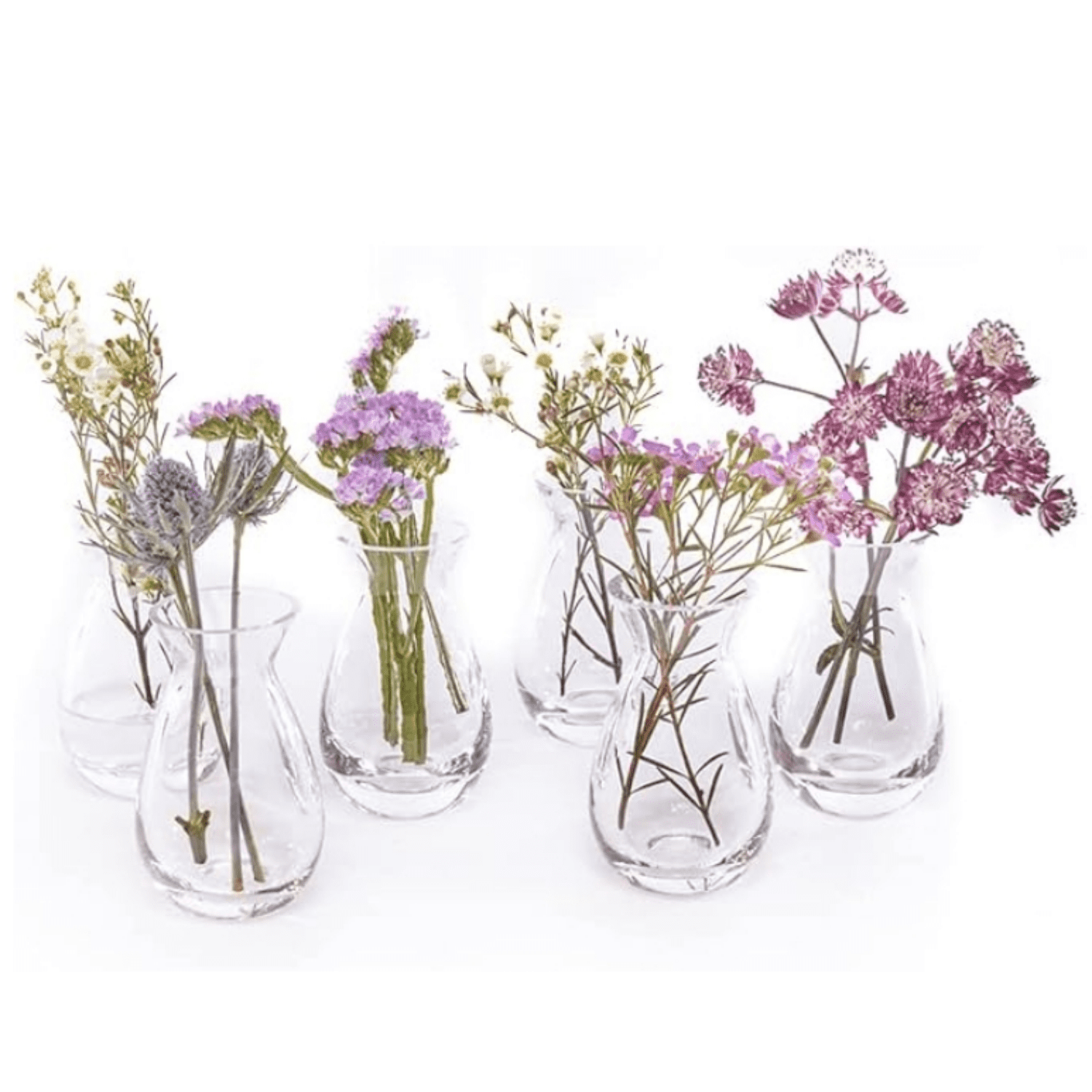 Glass Bottle Flower Vases — Set of 6 — Small, Elegant Clear Glass Bud ...