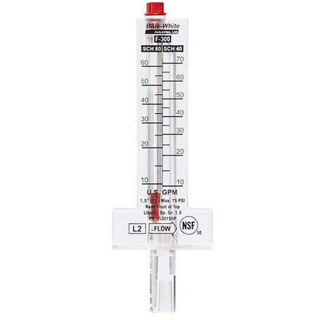 Blue-White Industries Flowmeter, 2in, F-300, 20-120 Gpm, Part Number: F ...