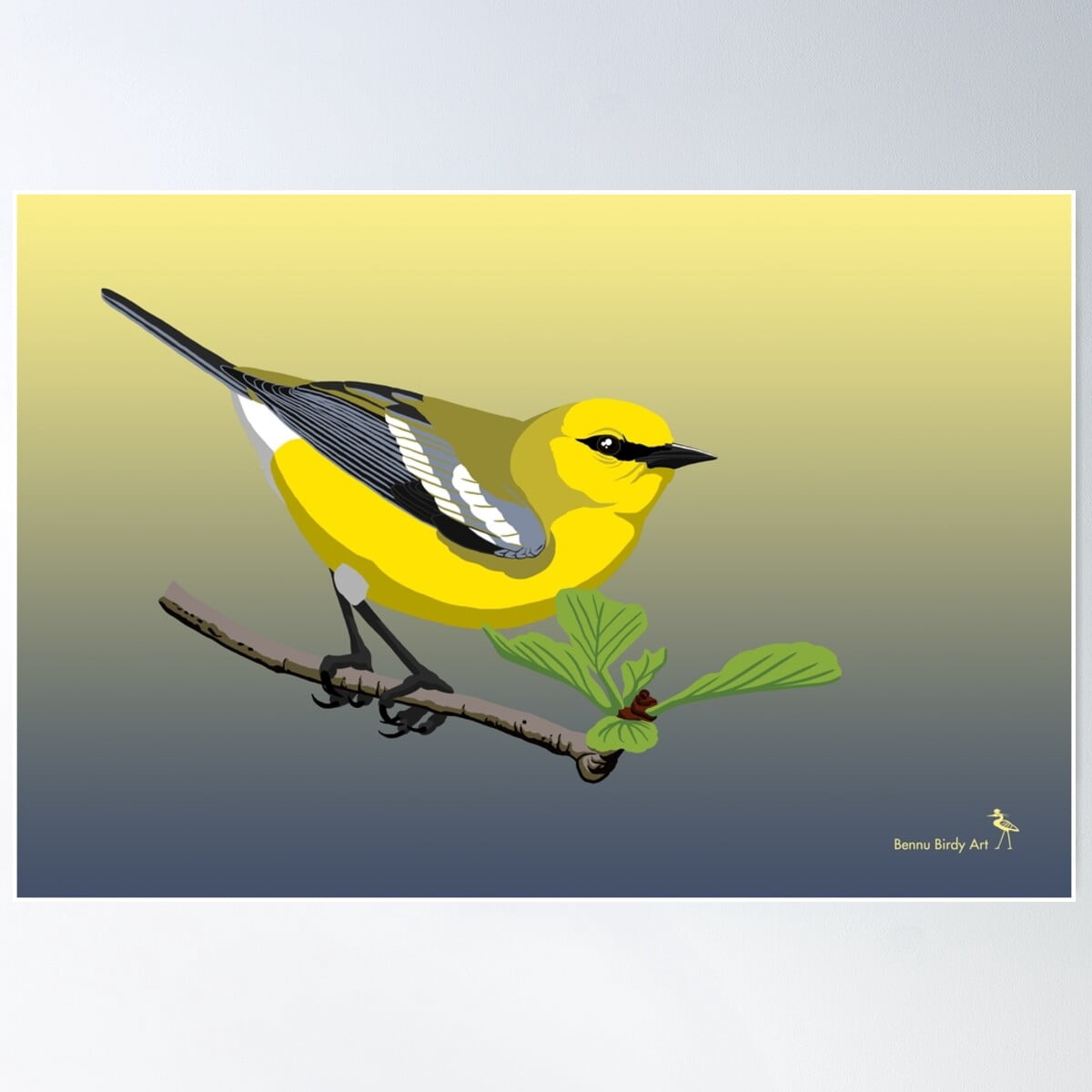 Blue-Winged Warbler Poster Wall Art, Modern Wall Decor For Living Room ...