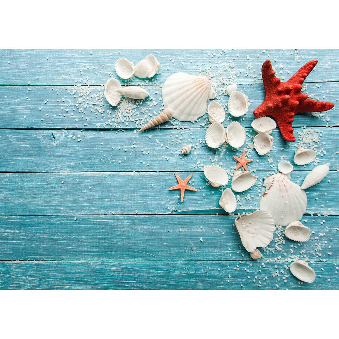 Blue Wooden Plank Seashell Photo Backdrops Props Studio Vinyl ...