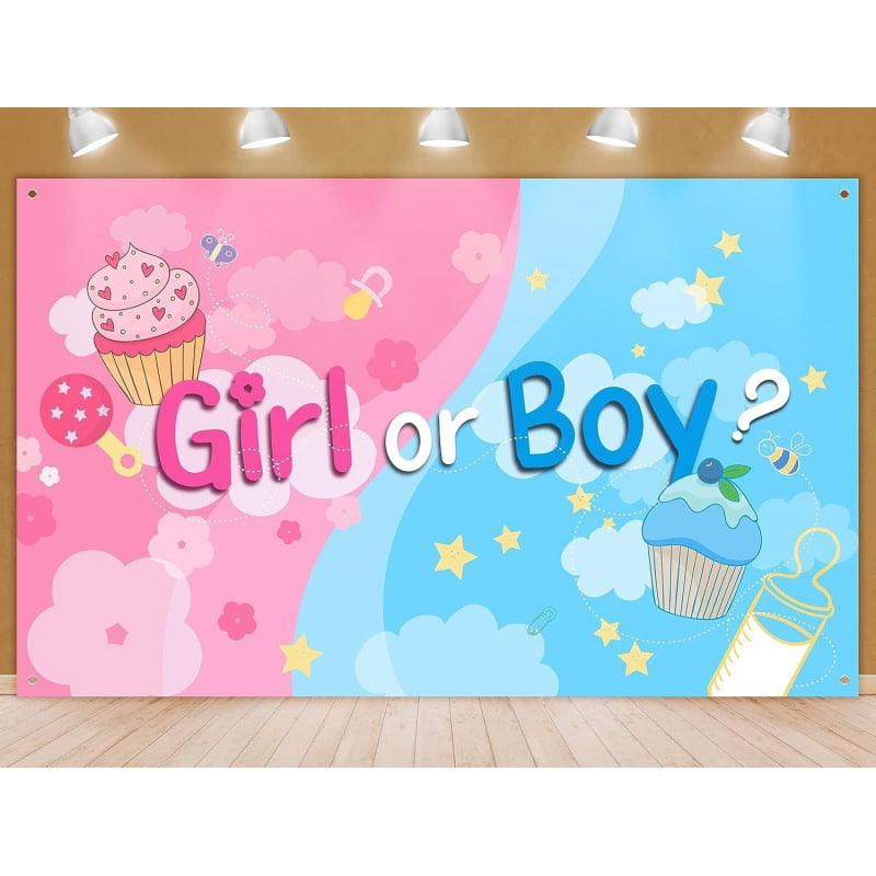 Blue and Pink Backdrop Banner, Party Decor Background for Boys Girls ...