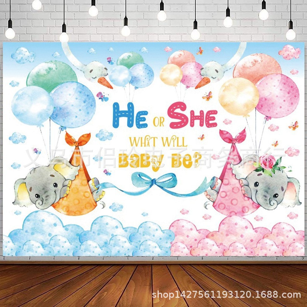Blue and Pink Backdrop Banner, Party Decor Background for Boys Girls ...