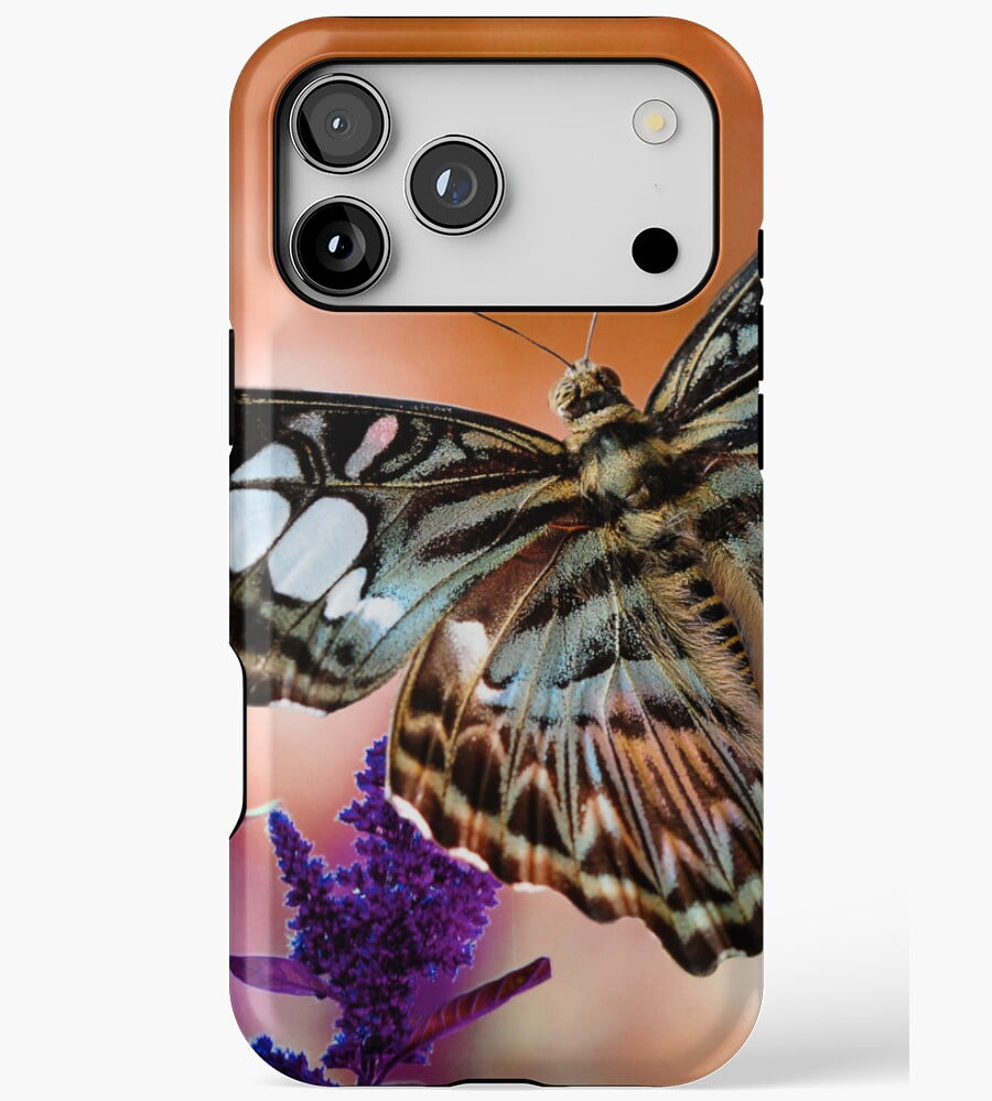 Blue on Orange Butterfly, Complementary Color Insect H4582 Phone Case ...