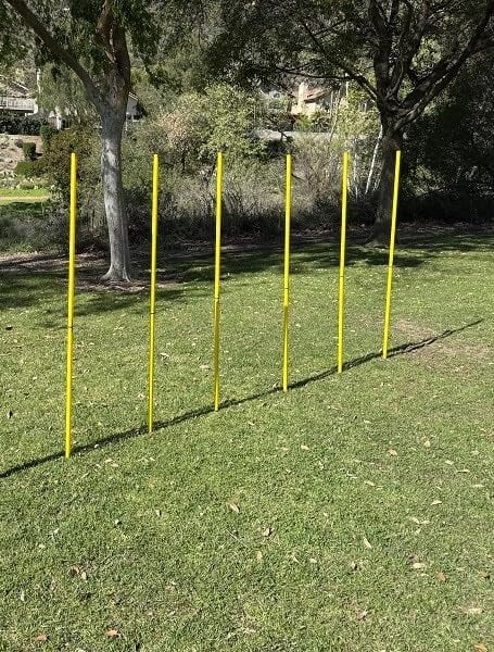 BlueDot Soccer Agility Poles | 6ft Collapsible Training Poles (6pc) for ...